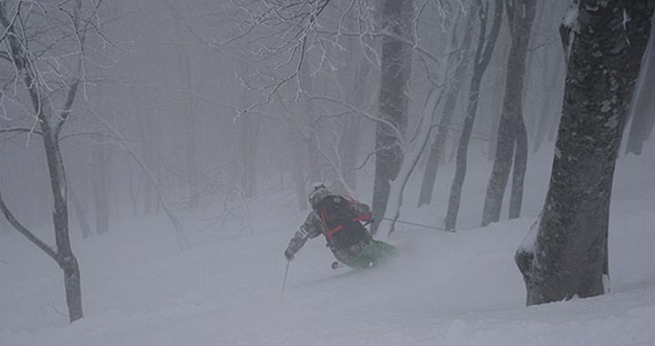 Best Ski Resorts for Tree Skiing | Scout Picks