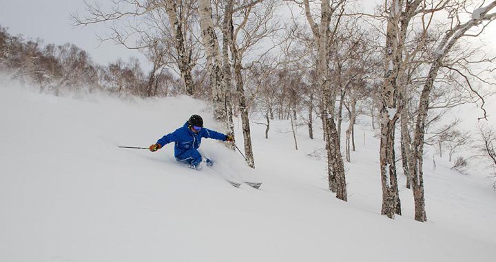 Best Ski Resorts for Tree Skiing | Scout Picks