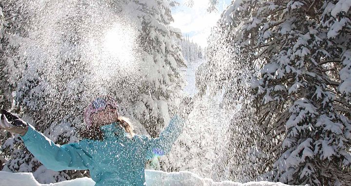 Snowbird Ski Resort | Utah | Ski Packages & Deals - Scout