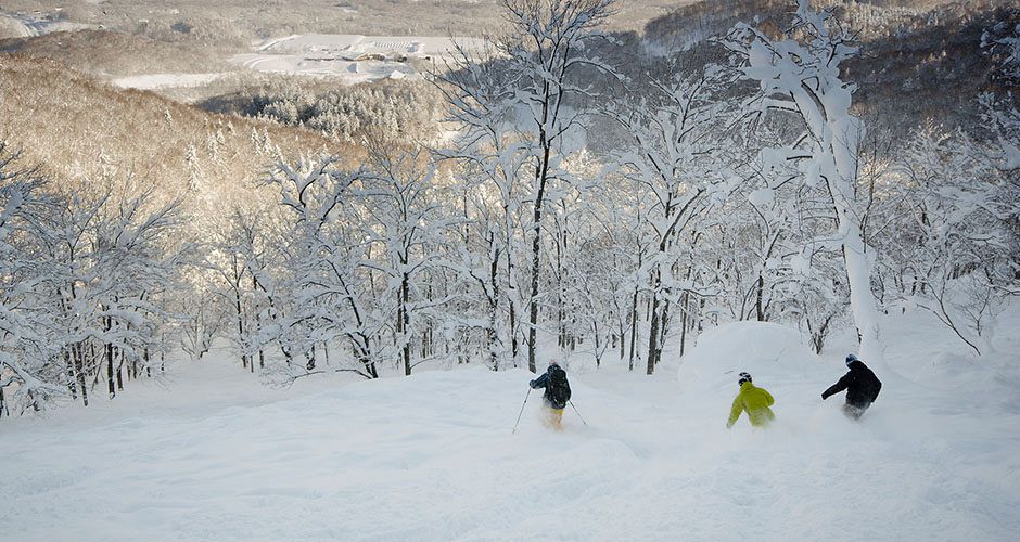 Classic ski lines through the trees at Niseko. Photo: Hanazono Ski Resort